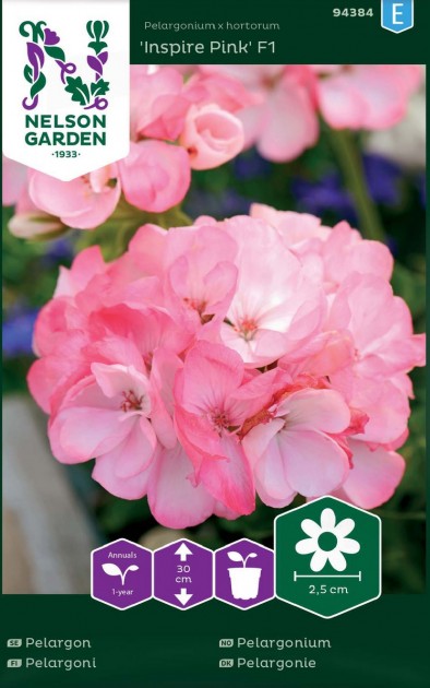 Pelargonium 'Inspire Pink' F1 | Prydhagen. Stor fokus på populære frø ...